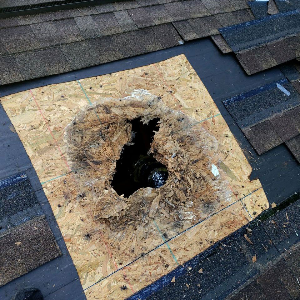 What Should You Do When You Find Roof Damage? - Columbus